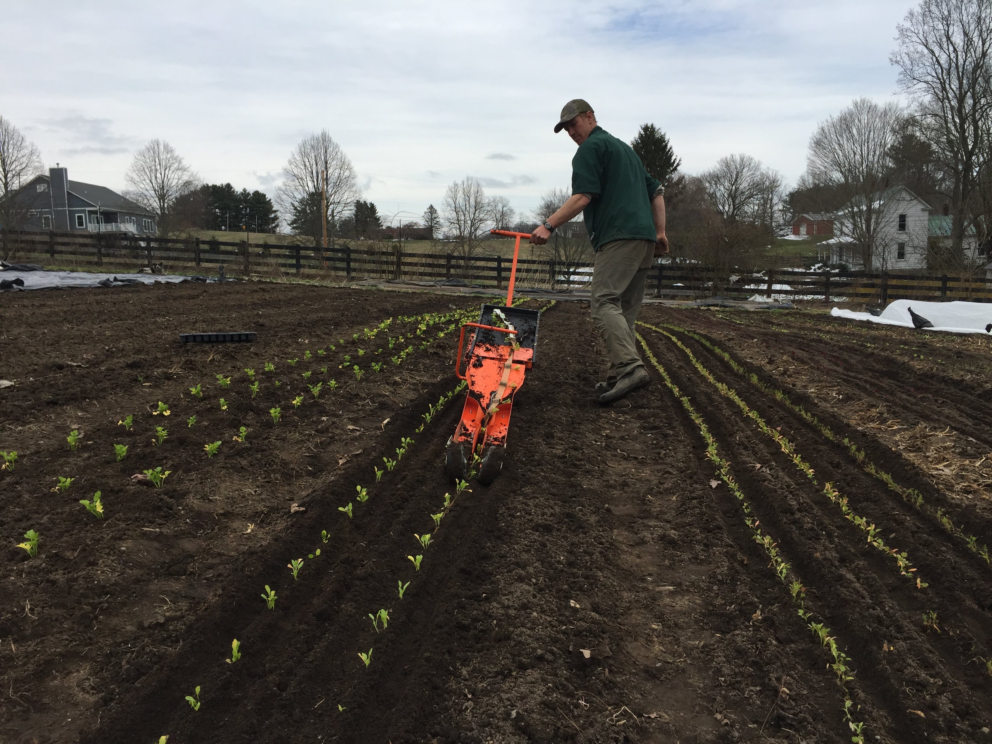 Glade Road Growing – Glade Road Growing
